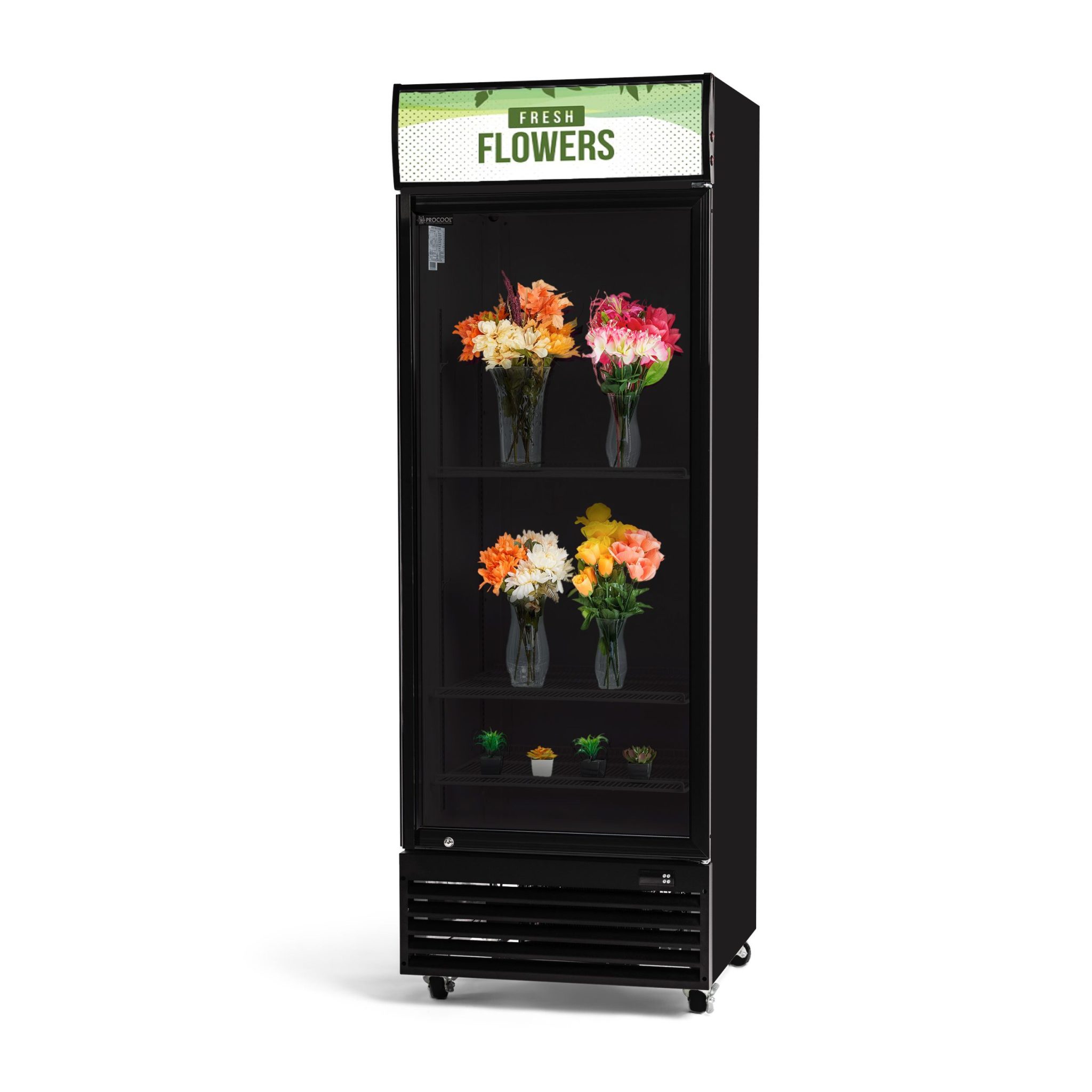 Floral Display Coolers for Sale | Glass Door Coolers for Flowers